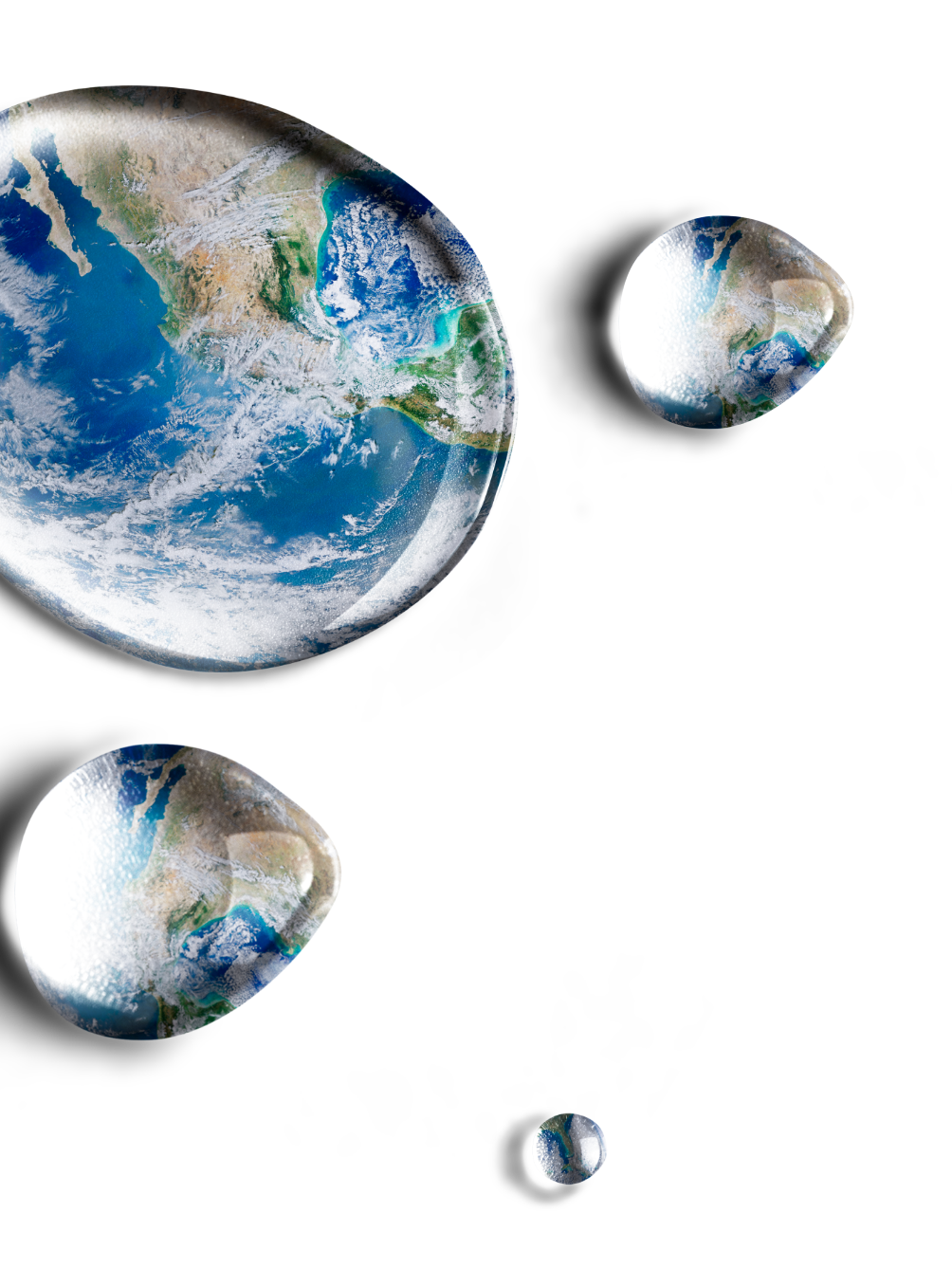 SILVERBACK HOME – Silverback