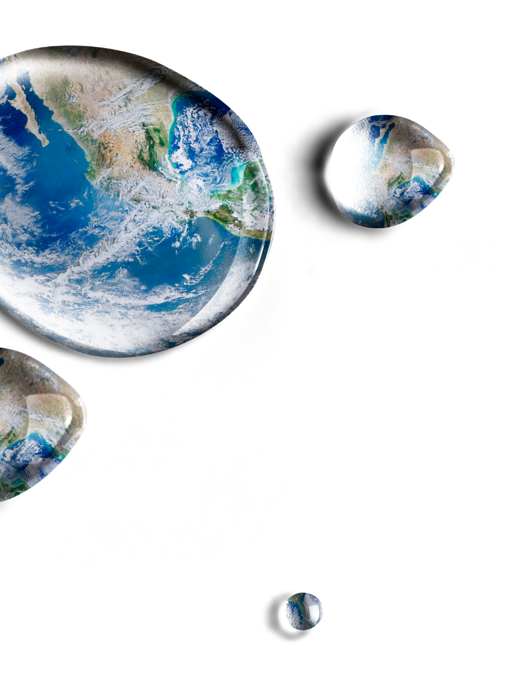 SILVERBACK HOME – Silverback